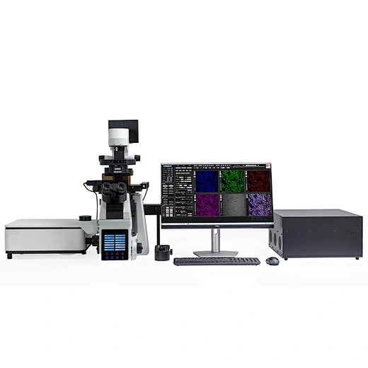 BCF297 Laser Scanning Confocal Microscopy-Laser Scanning Confocal ...